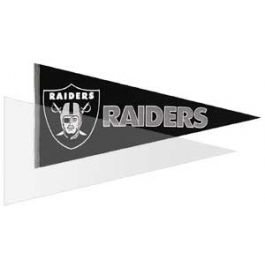 Protective Plastic Sleeves for Pennants & Banners - Set of 10